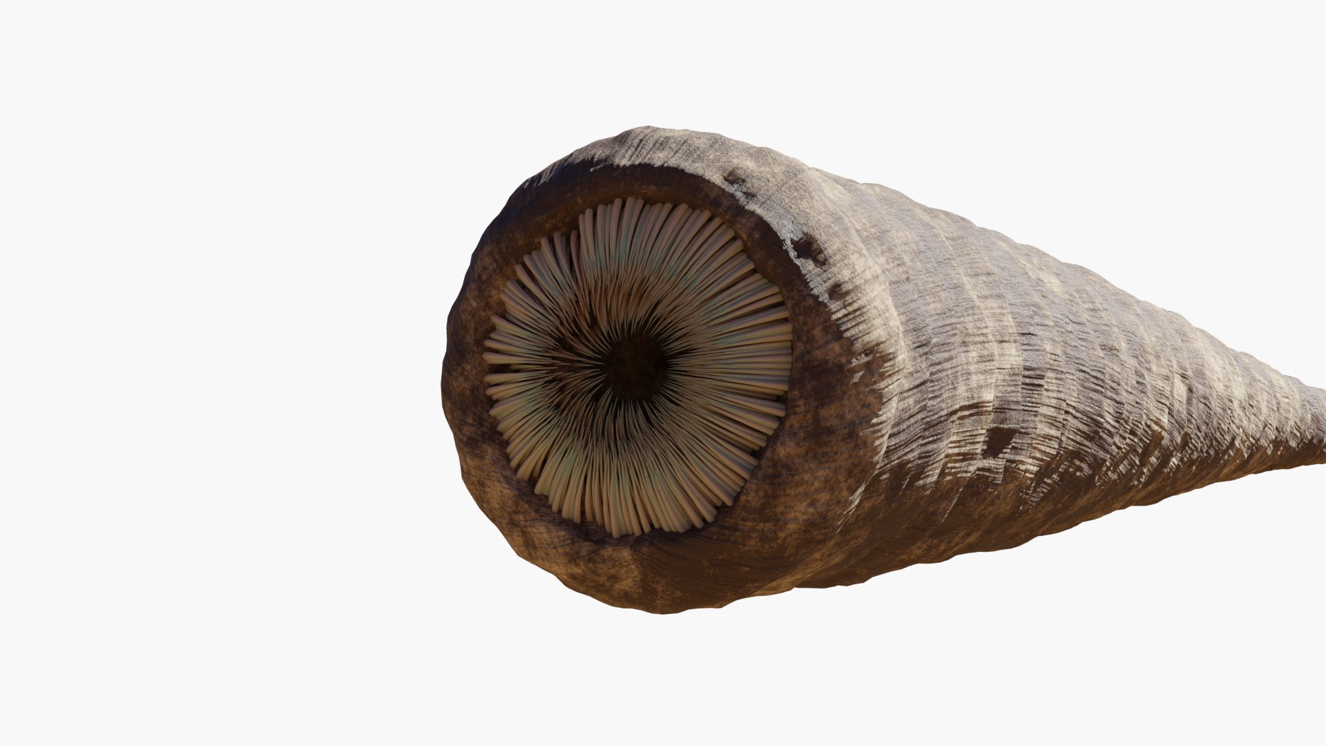 Dune Shai-Hulud Sandworm 3D Model - TurboSquid 2206454