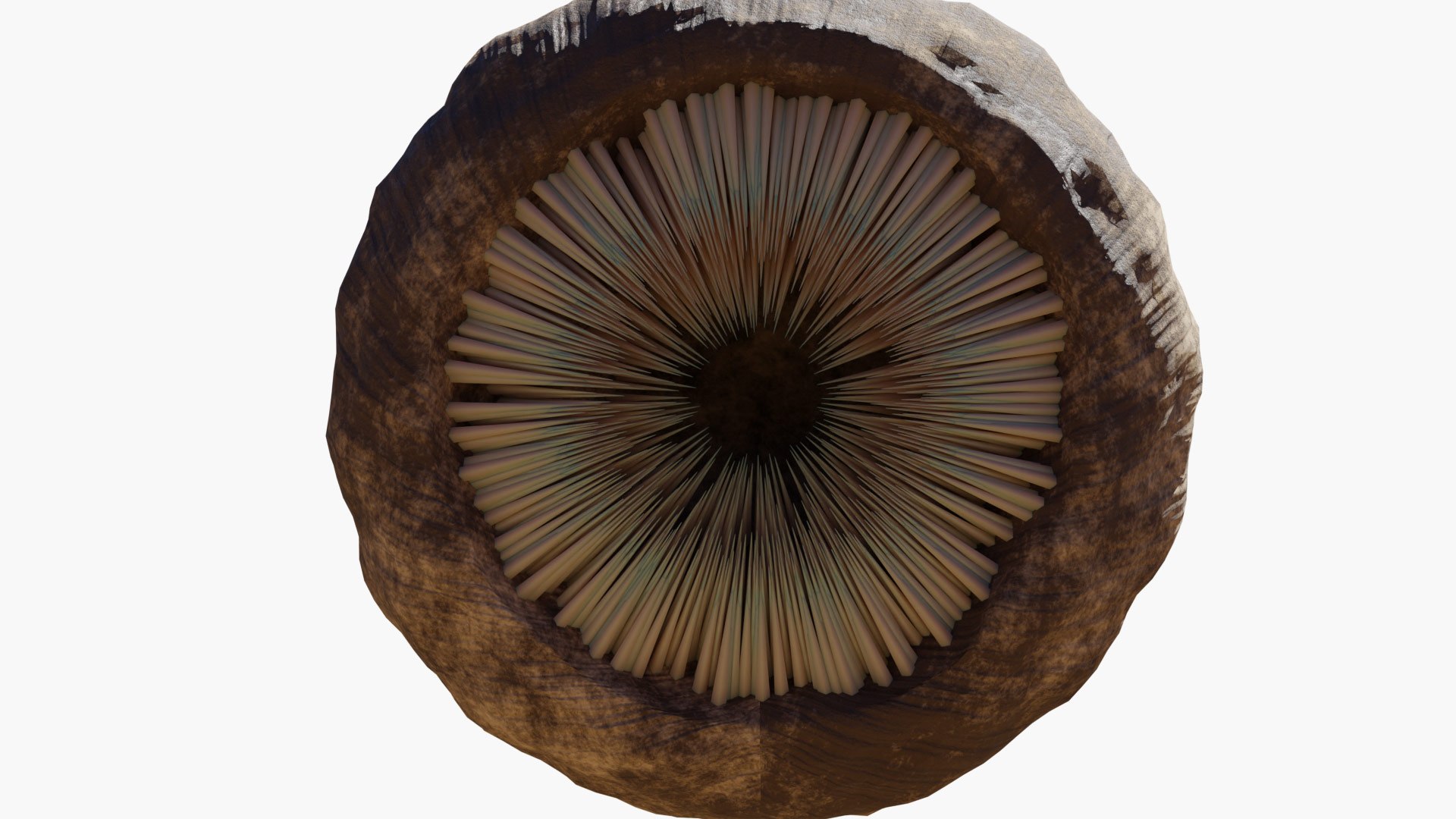 Dune Shai-Hulud Sandworm 3D Model - TurboSquid 2206454