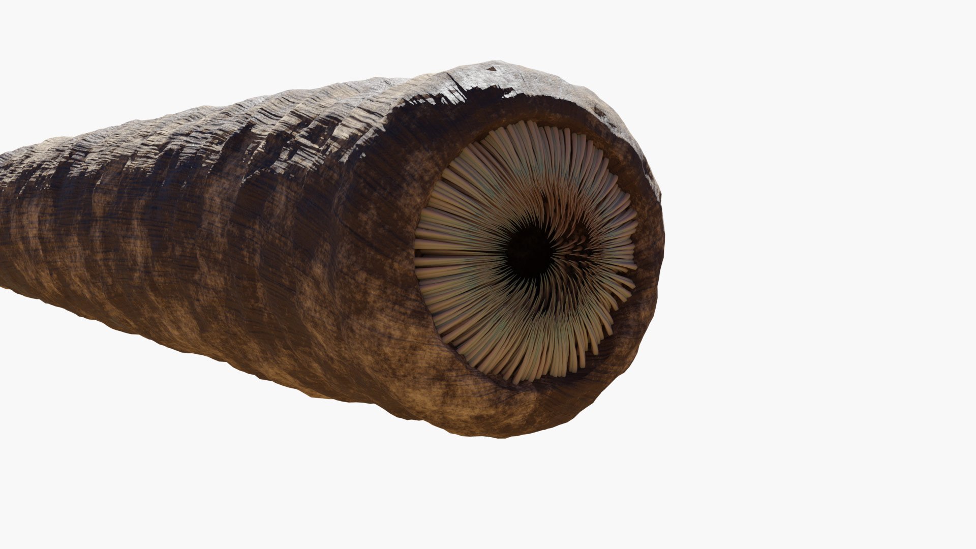 Dune Shai-Hulud Sandworm 3D Model - TurboSquid 2206454