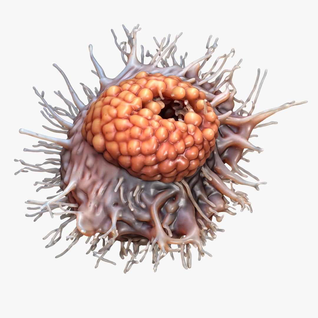 Cancer Cell Tumor 3D Model - TurboSquid 2403843