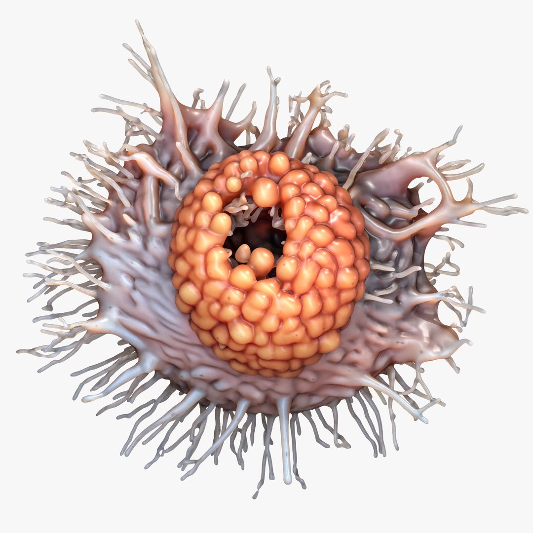 Cancer Cell Tumor 3D Model - TurboSquid 2403843
