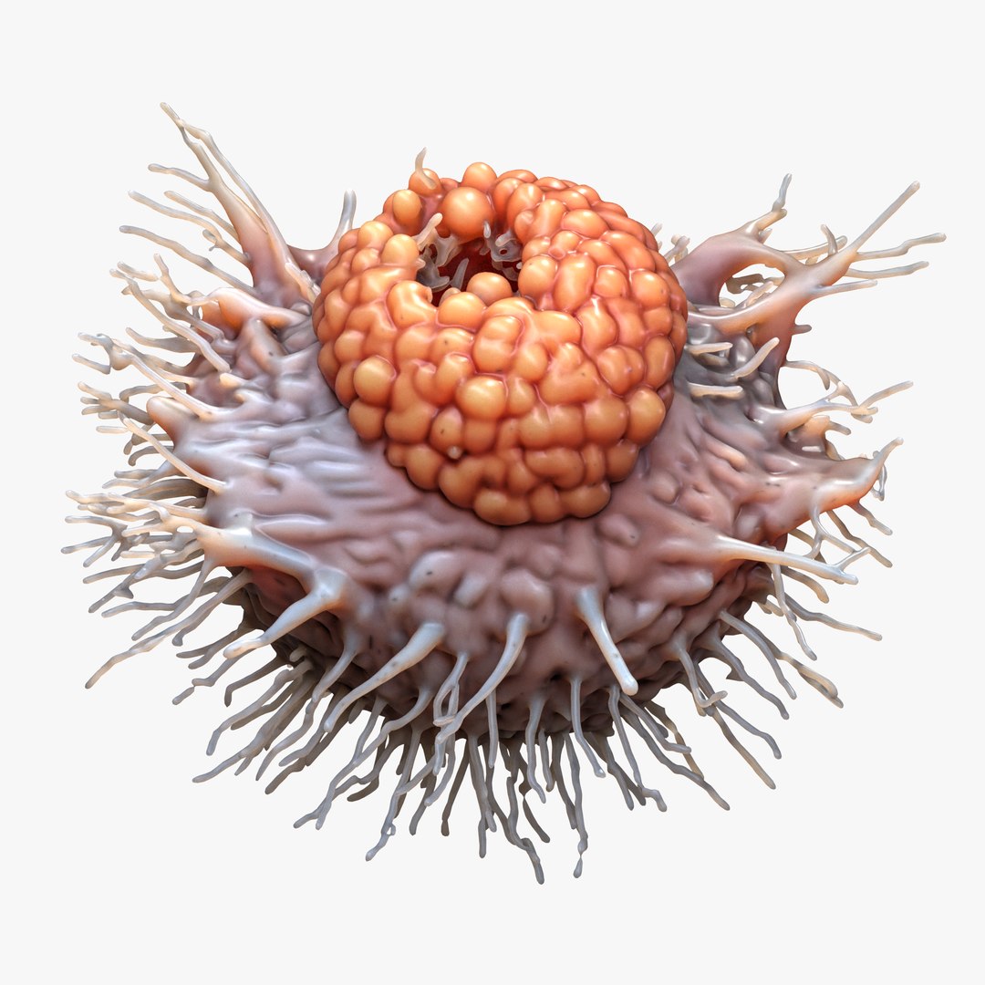 Cancer Cell Tumor 3D Model - TurboSquid 2403843