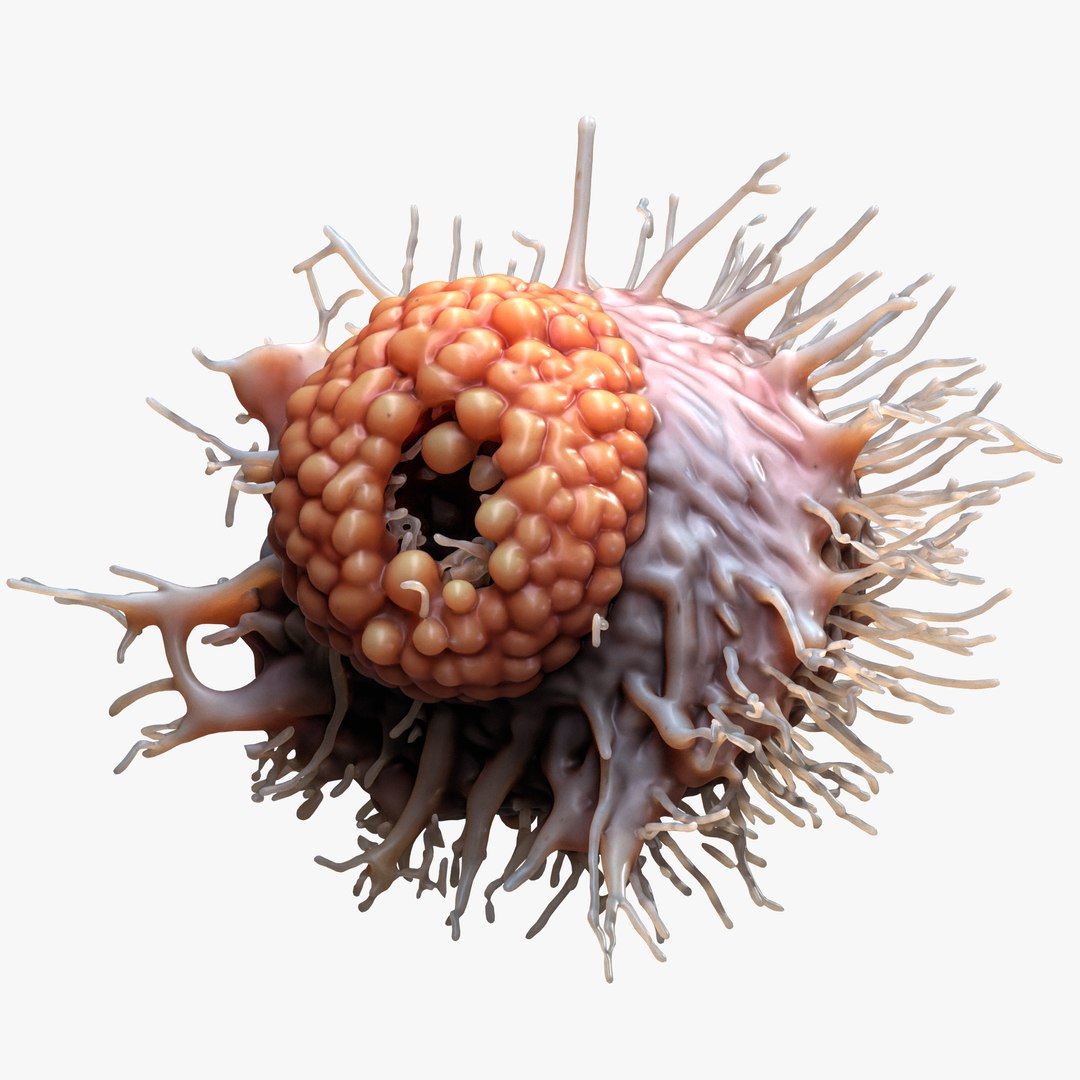 Cancer Cell Tumor 3D Model - TurboSquid 2403843