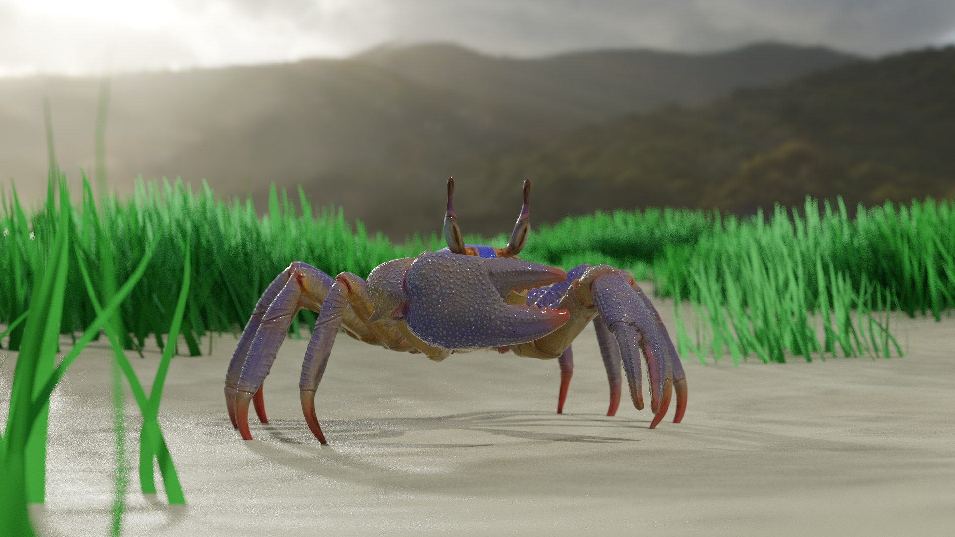 Crab 3D Model - TurboSquid 1589349