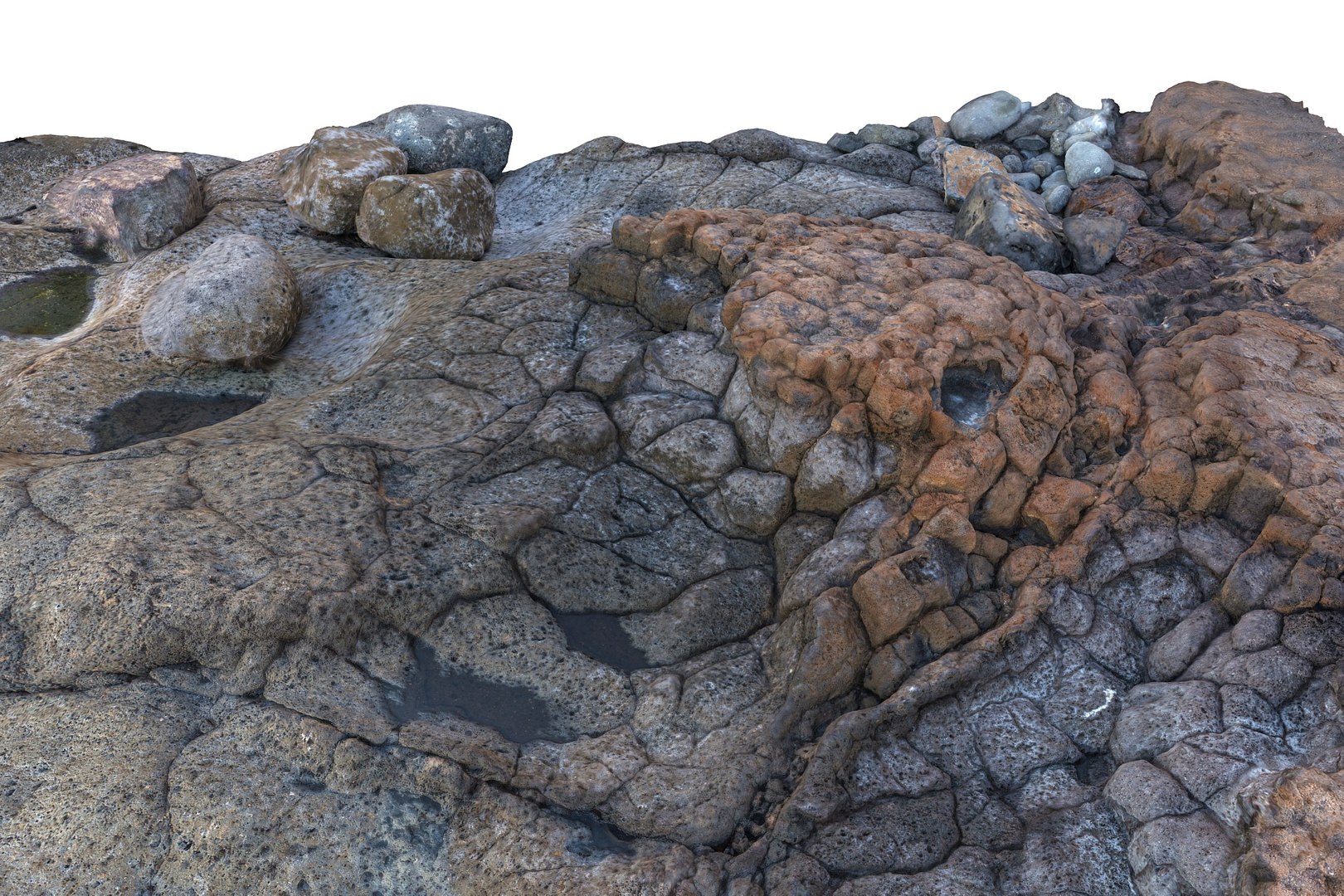coral reef ground ultra 3d max