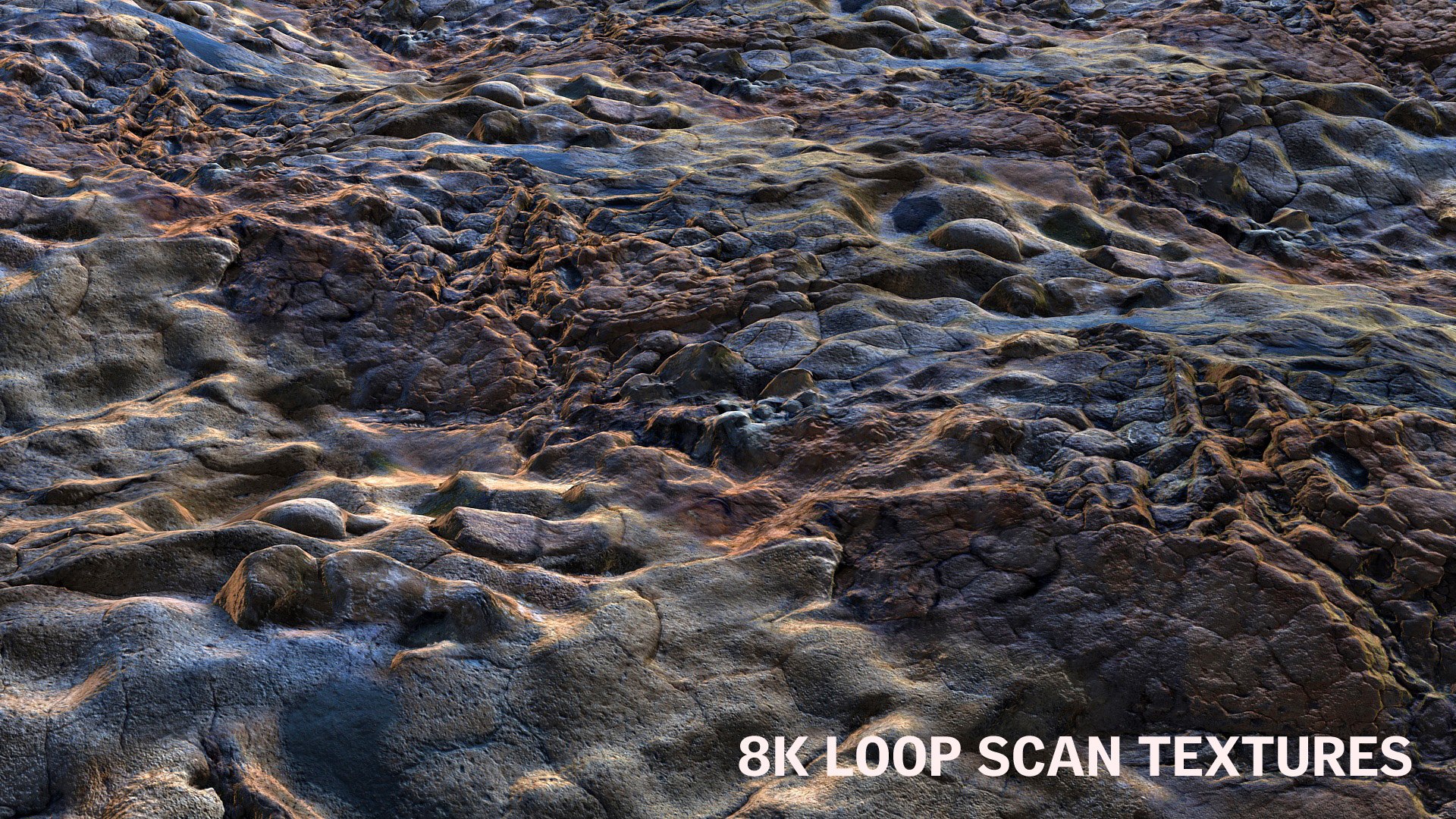 coral reef ground ultra 3d max