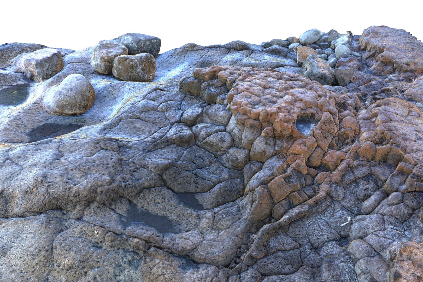 coral reef ground ultra 3d max