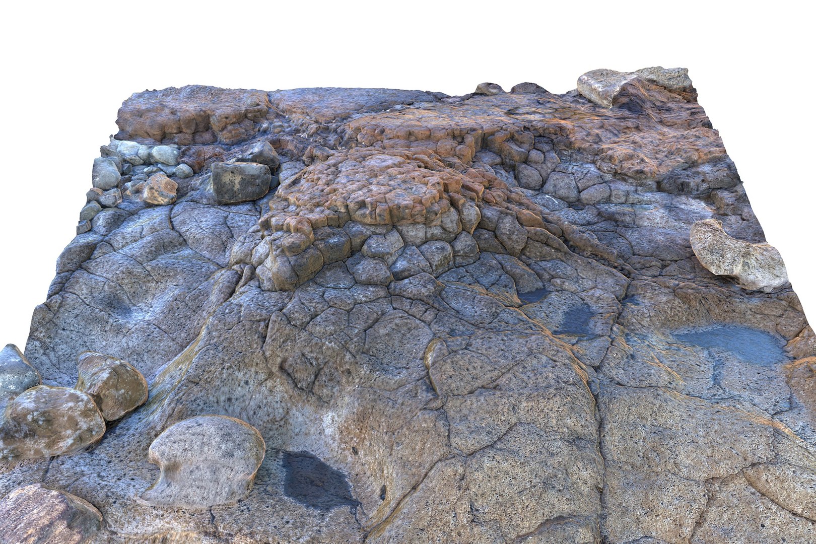 coral reef ground ultra 3d max