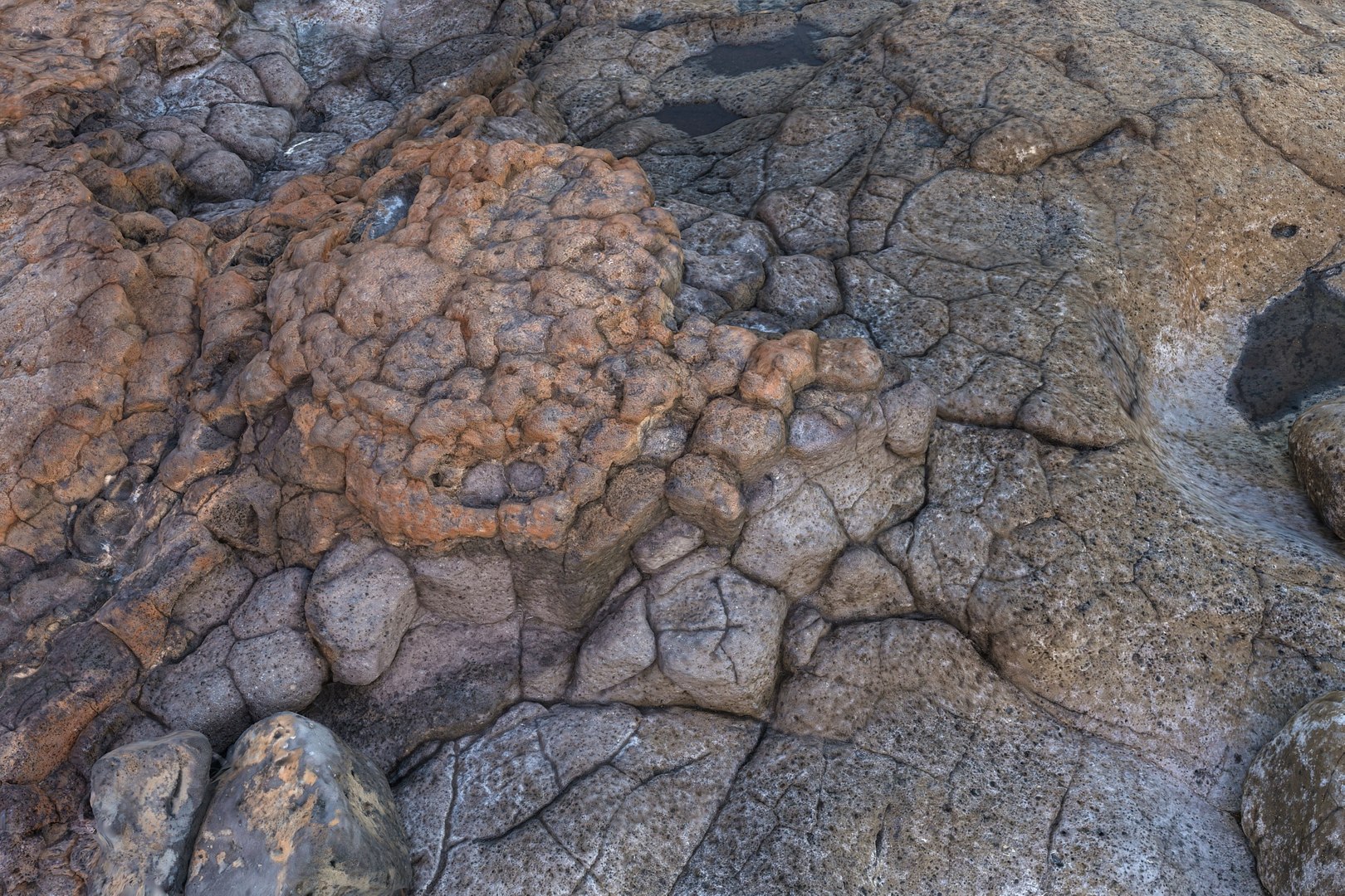 coral reef ground ultra 3d max