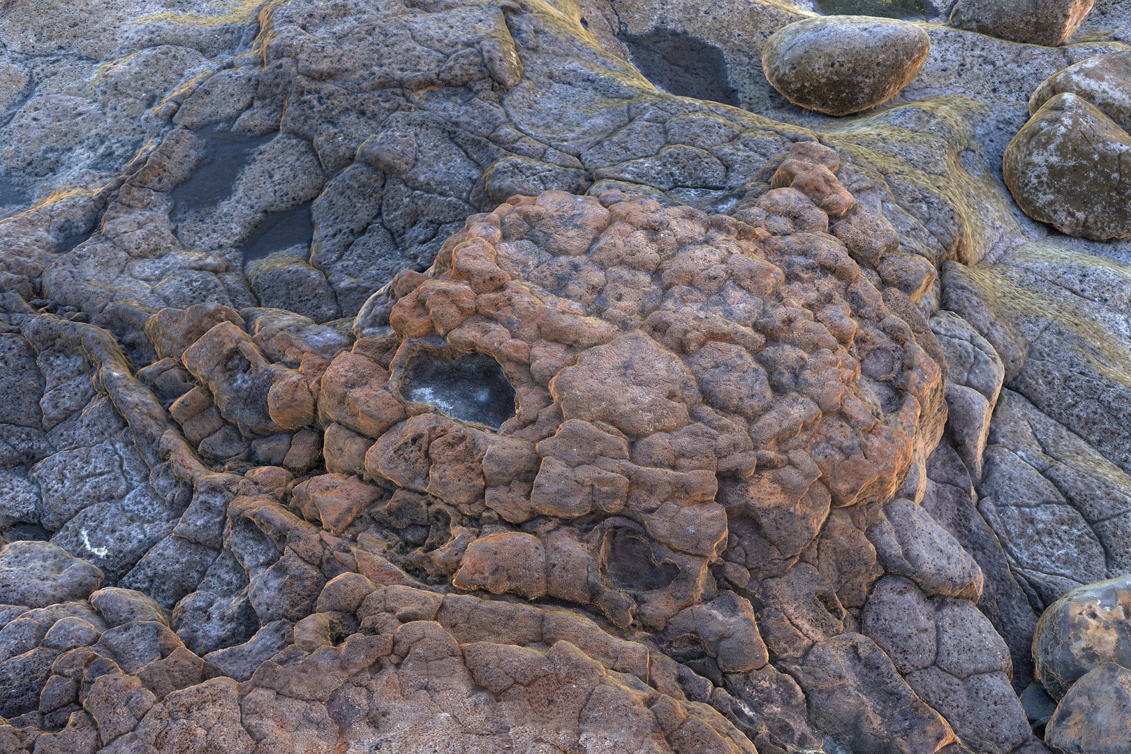 coral reef ground ultra 3d max