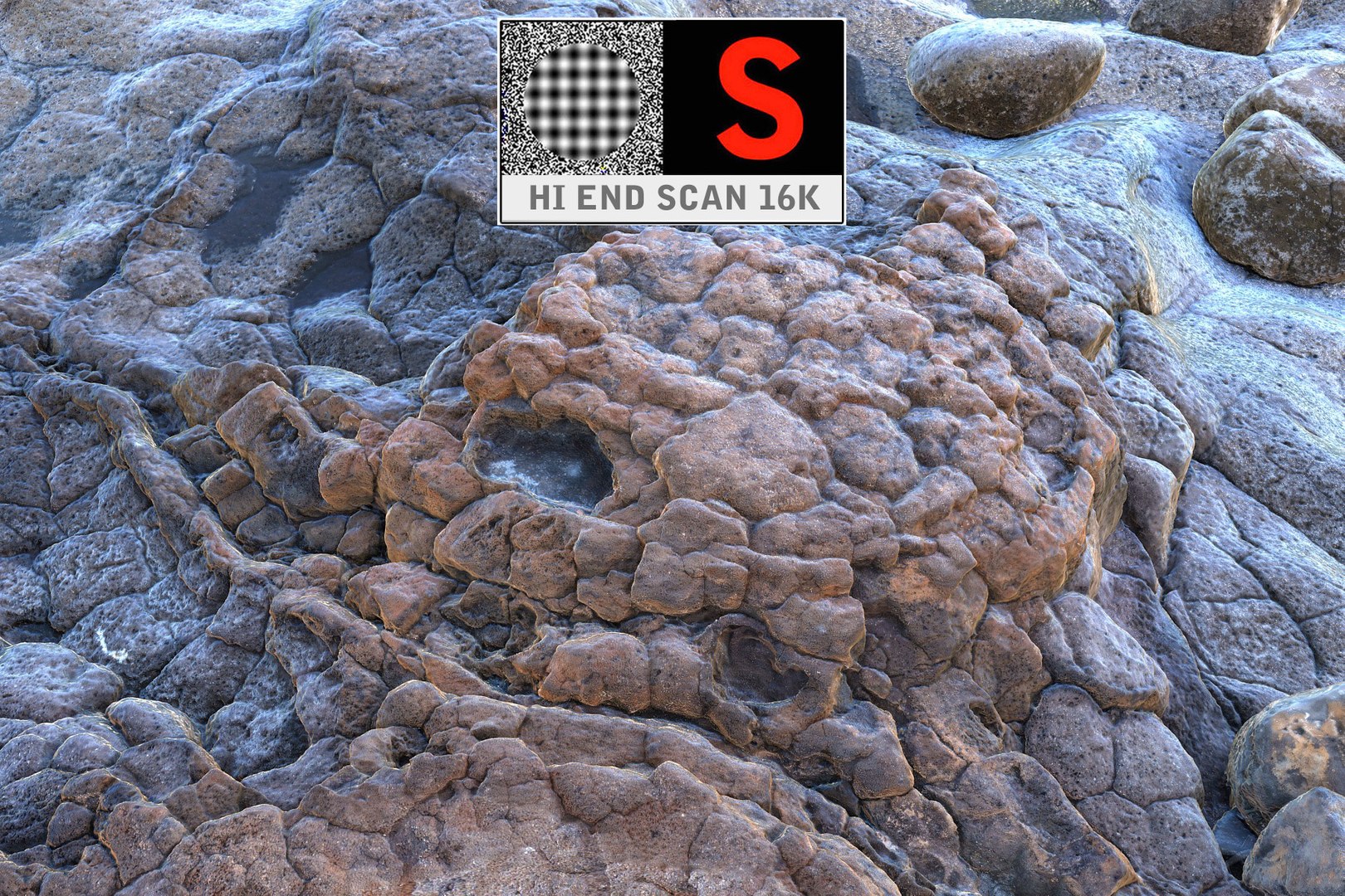 coral reef ground ultra 3d max