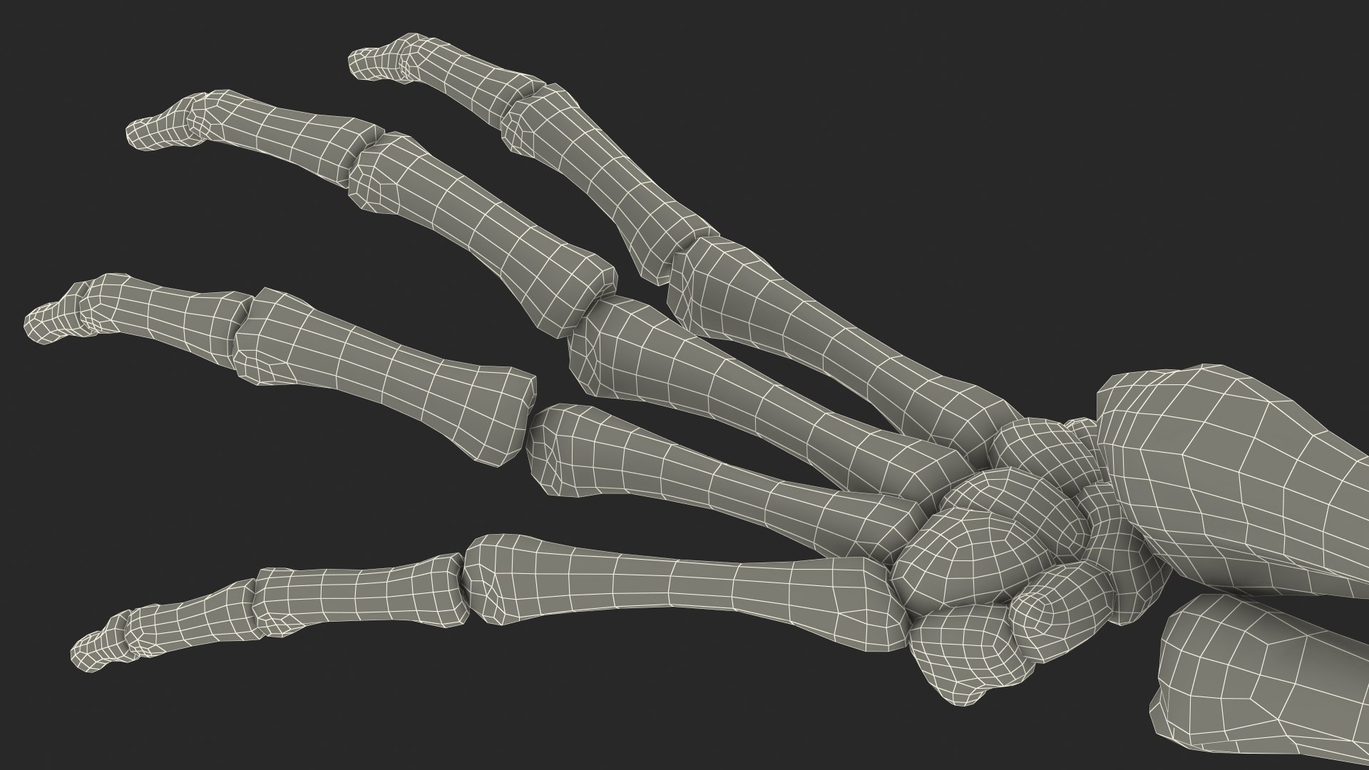 3D Skeleton Arm - TurboSquid 1806951