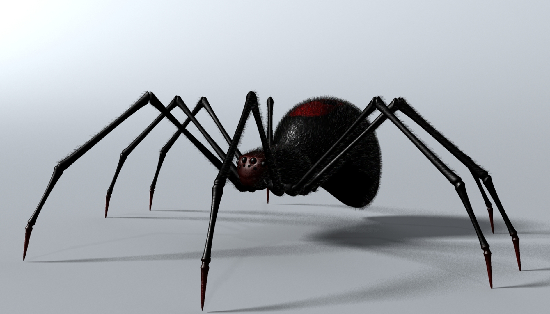 3d Model Black Spider Rigged
