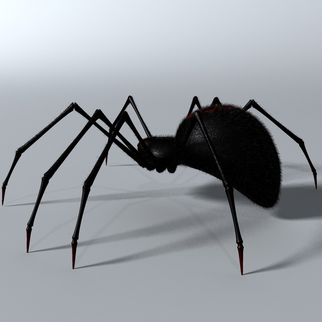 3d Model Black Spider Rigged