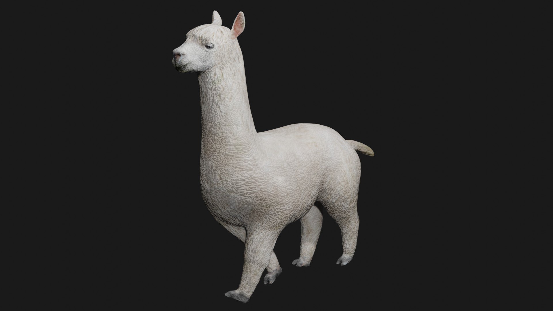Llama Rigged 3D Model - TurboSquid 1659093