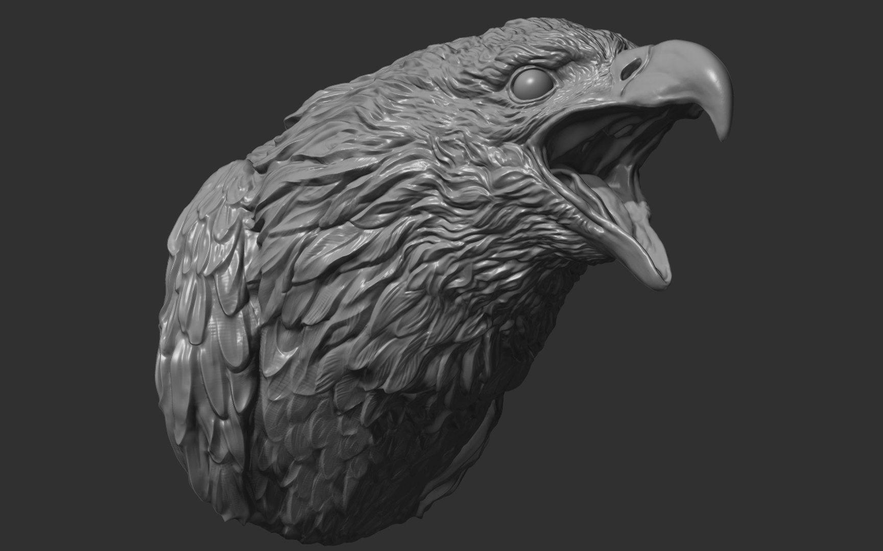 Bald Eagle Head 3D Model - TurboSquid 1767964