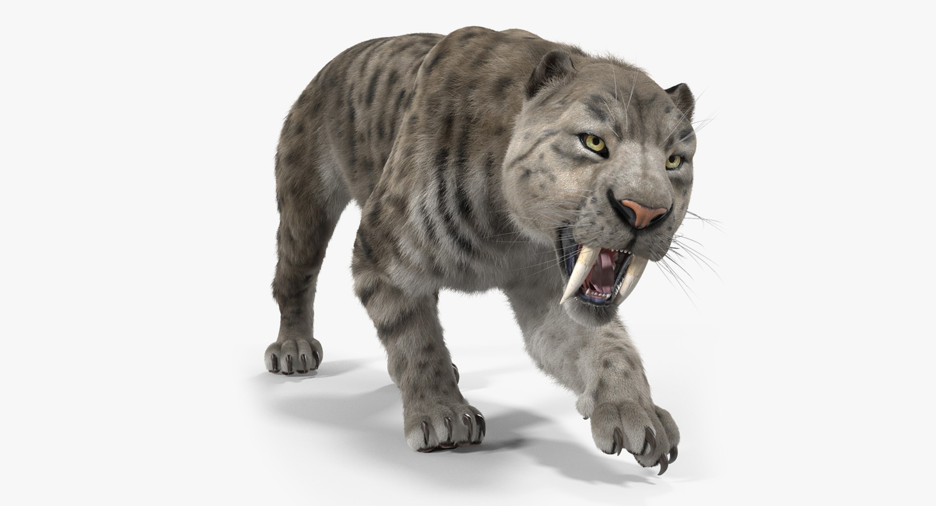 3D arctic saber tooth cat - TurboSquid 1329522