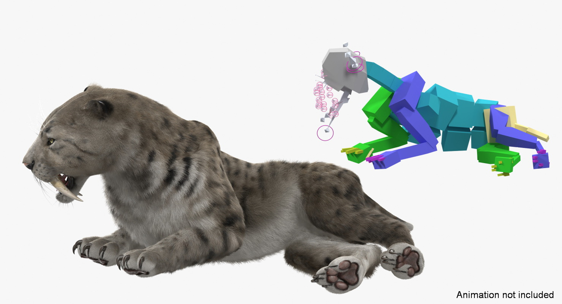 3D Arctic Saber Tooth Cat - TurboSquid 1329522