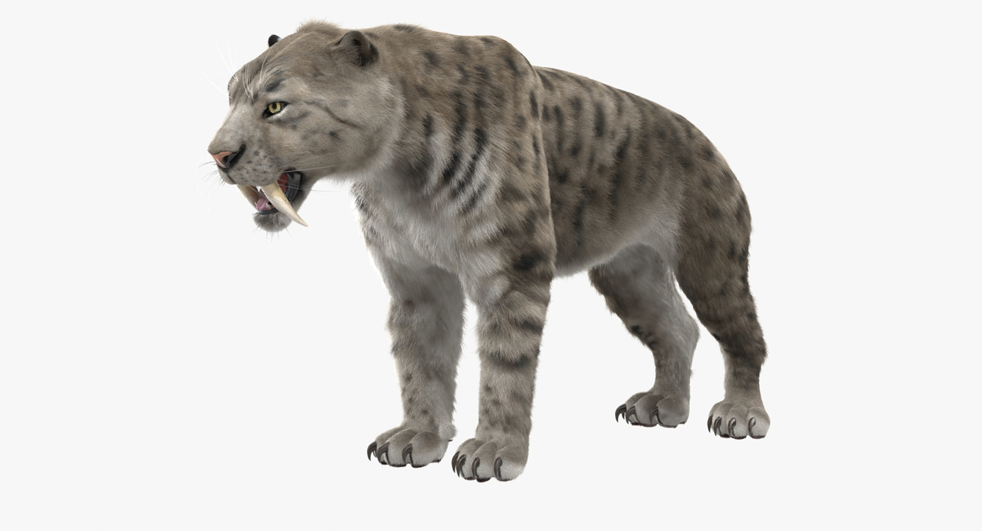 3D Arctic Saber Tooth Cat - TurboSquid 1329522