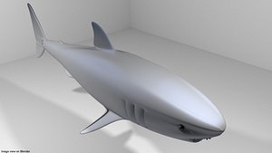 Download 3D Great White Shark Blender Models - TurboSquid