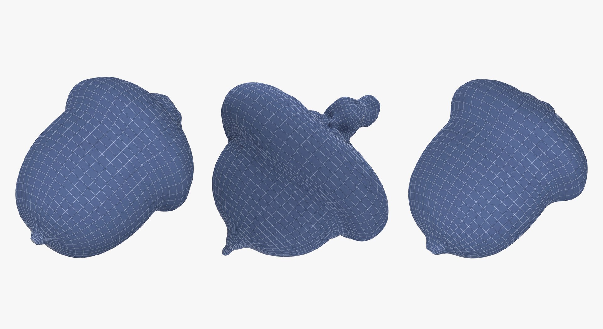 3D Acorns Collection 03 - 3 models model - TurboSquid 1885477