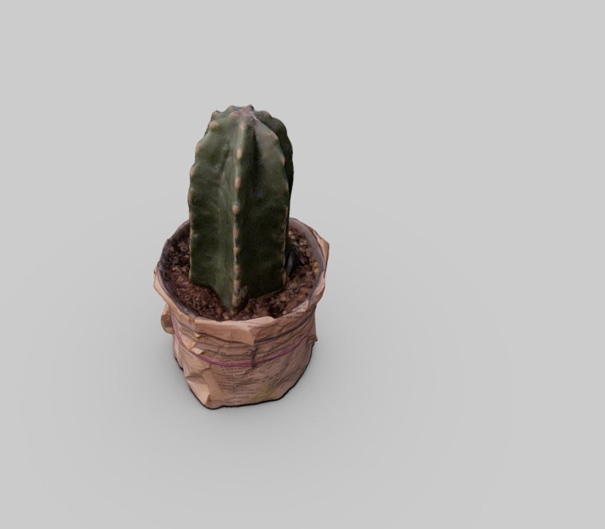 Cactus Scan 3D Model - TurboSquid 1598894