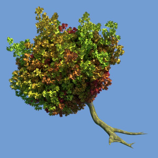 3D realistic tree - TurboSquid 1275285