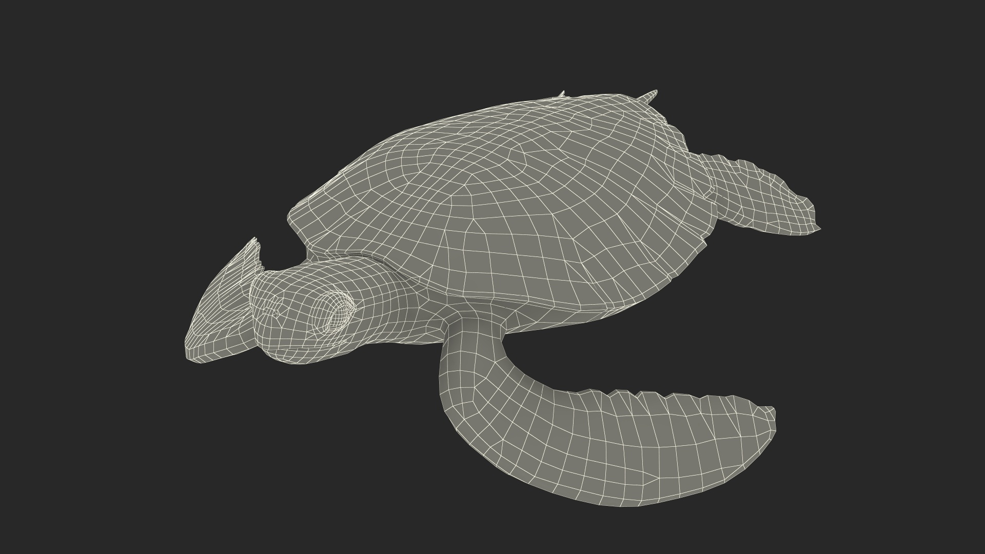 Realistic Green Sea Turtle 3D - TurboSquid 2191742
