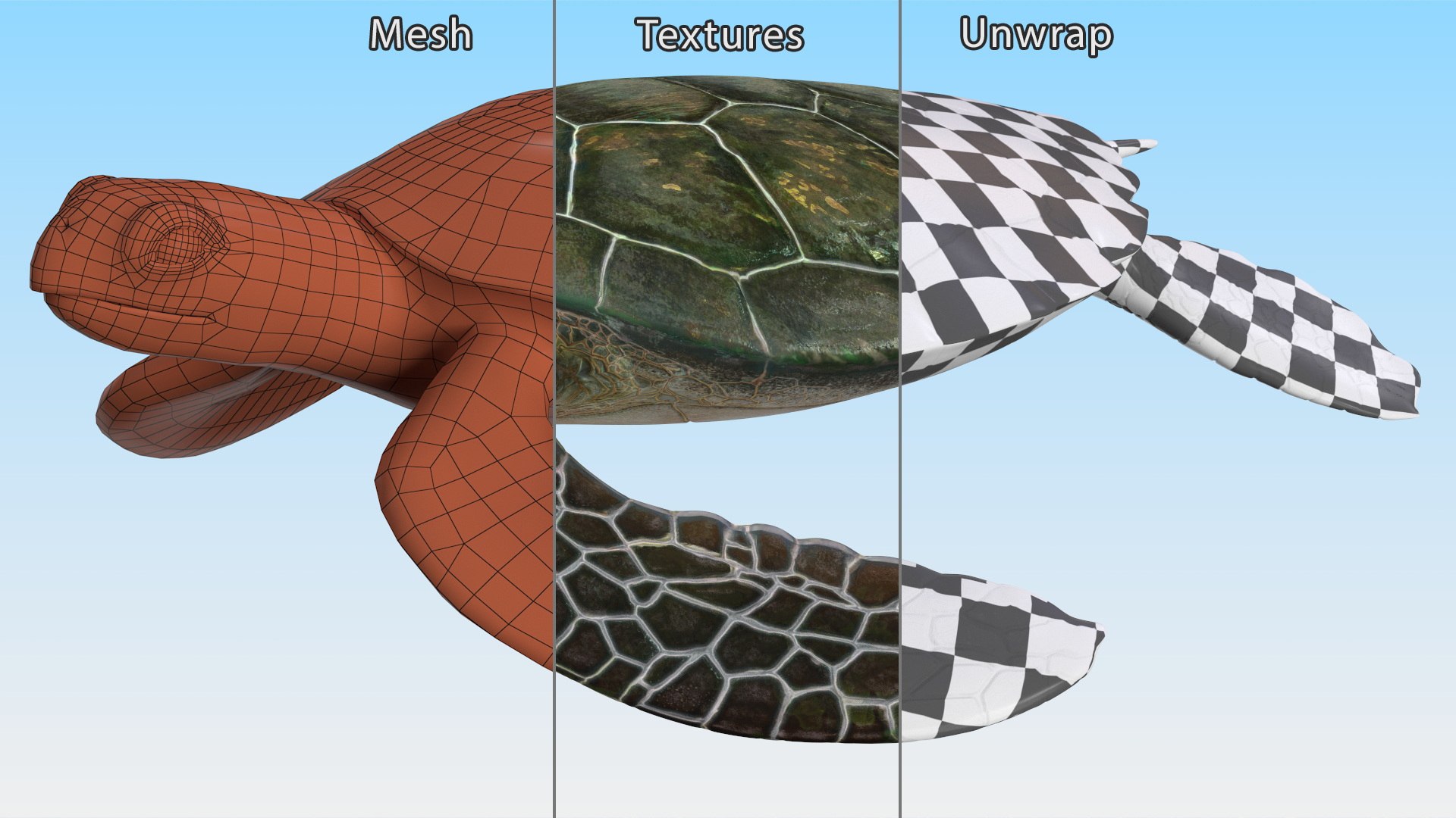 Realistic Green Sea Turtle 3D - TurboSquid 2191742