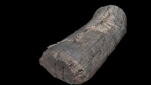 Free 3D Log Models | TurboSquid