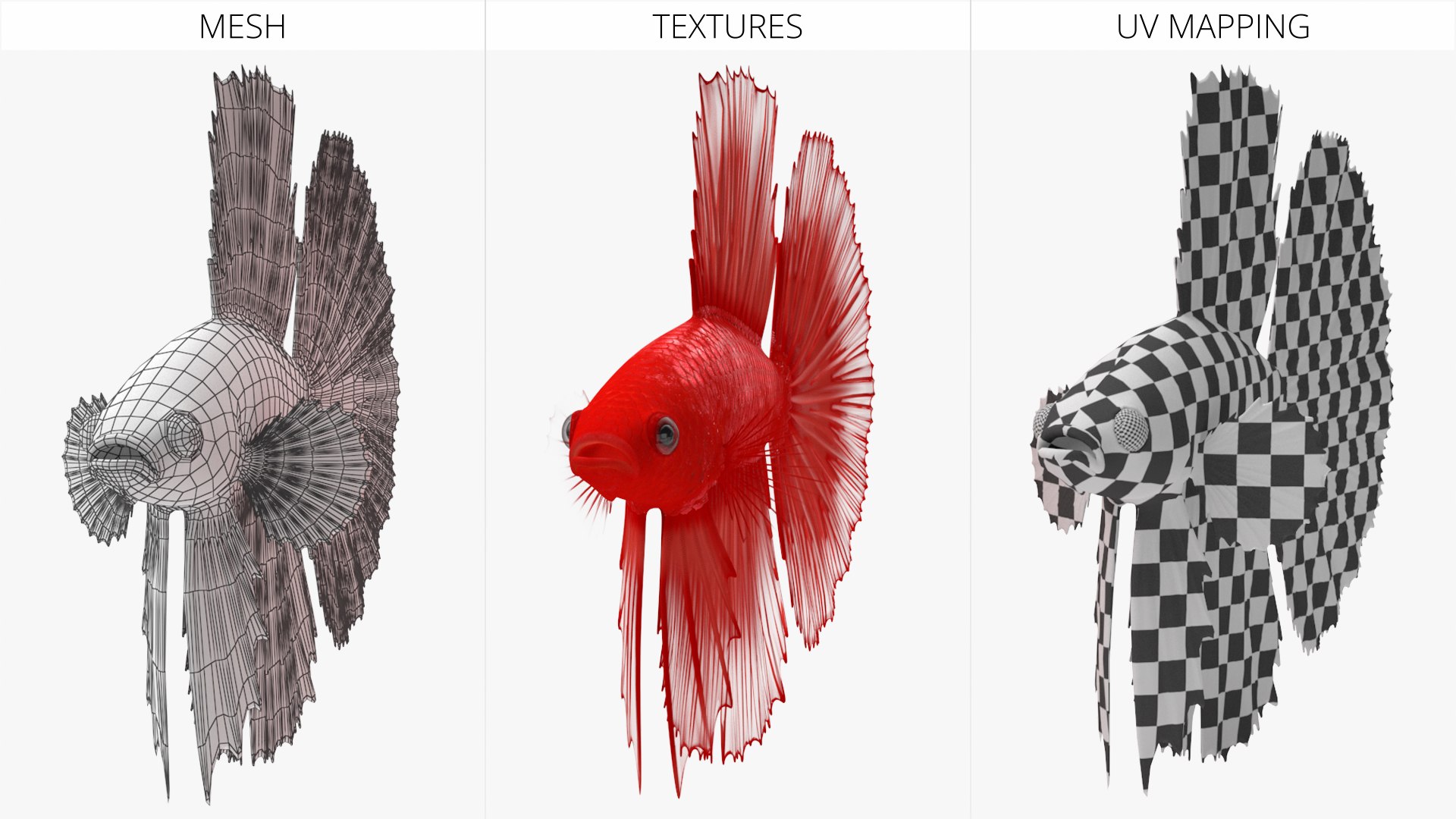 Red Crowntail Betta Fish Swimming Animated Rigged For Maya 3D - TurboSquid 2458414