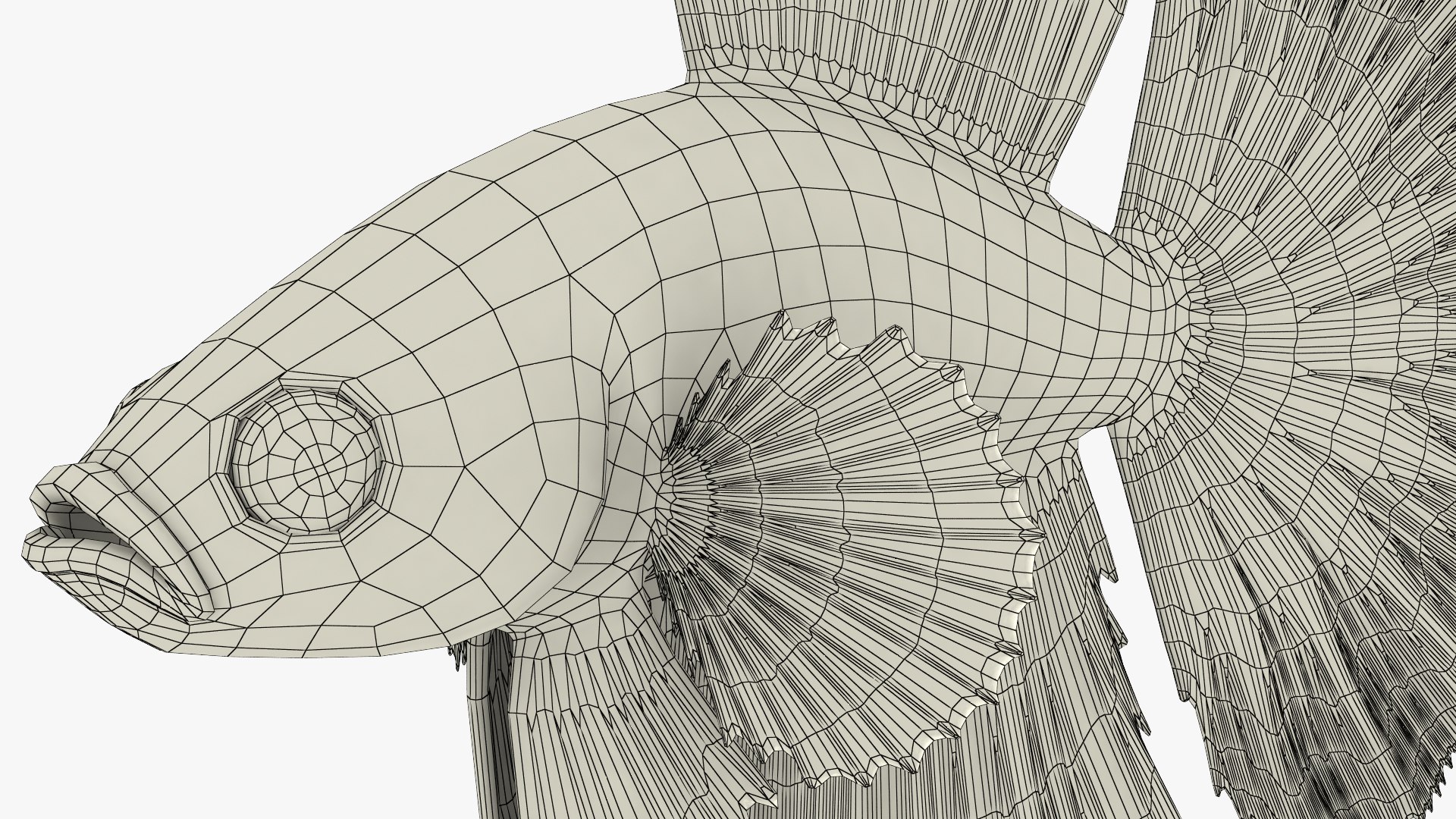 Red Crowntail Betta Fish Swimming Animated Rigged For Maya 3D - TurboSquid 2458414