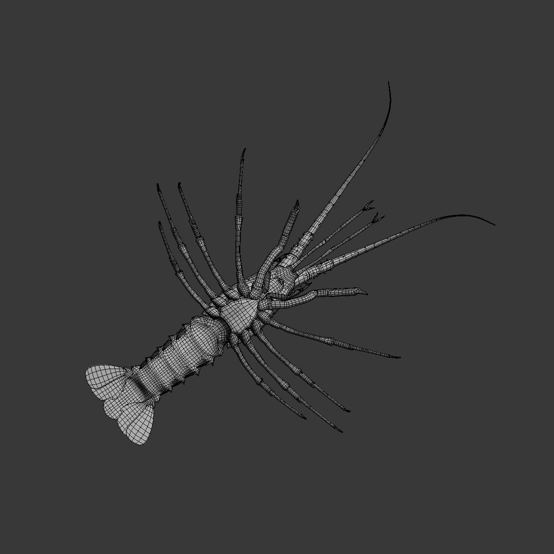 Lobster 3d Model