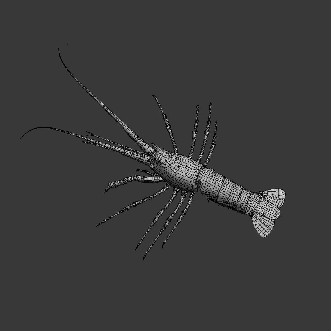 Lobster 3d Model
