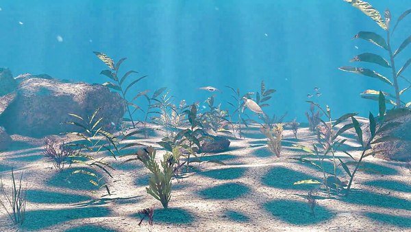Collection Ocean Floor 3D Models for Download | TurboSquid