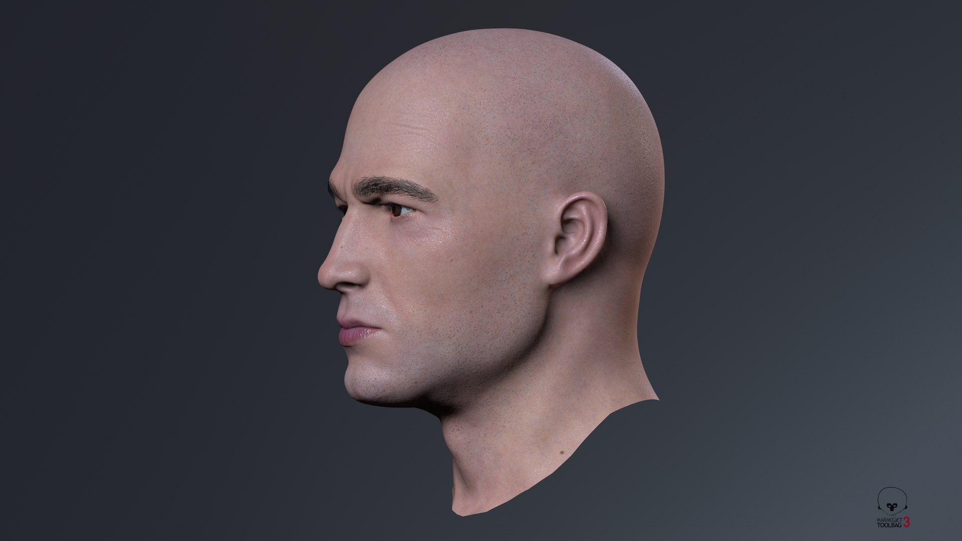 3D Head Pack - 03 Model - TurboSquid 1827945