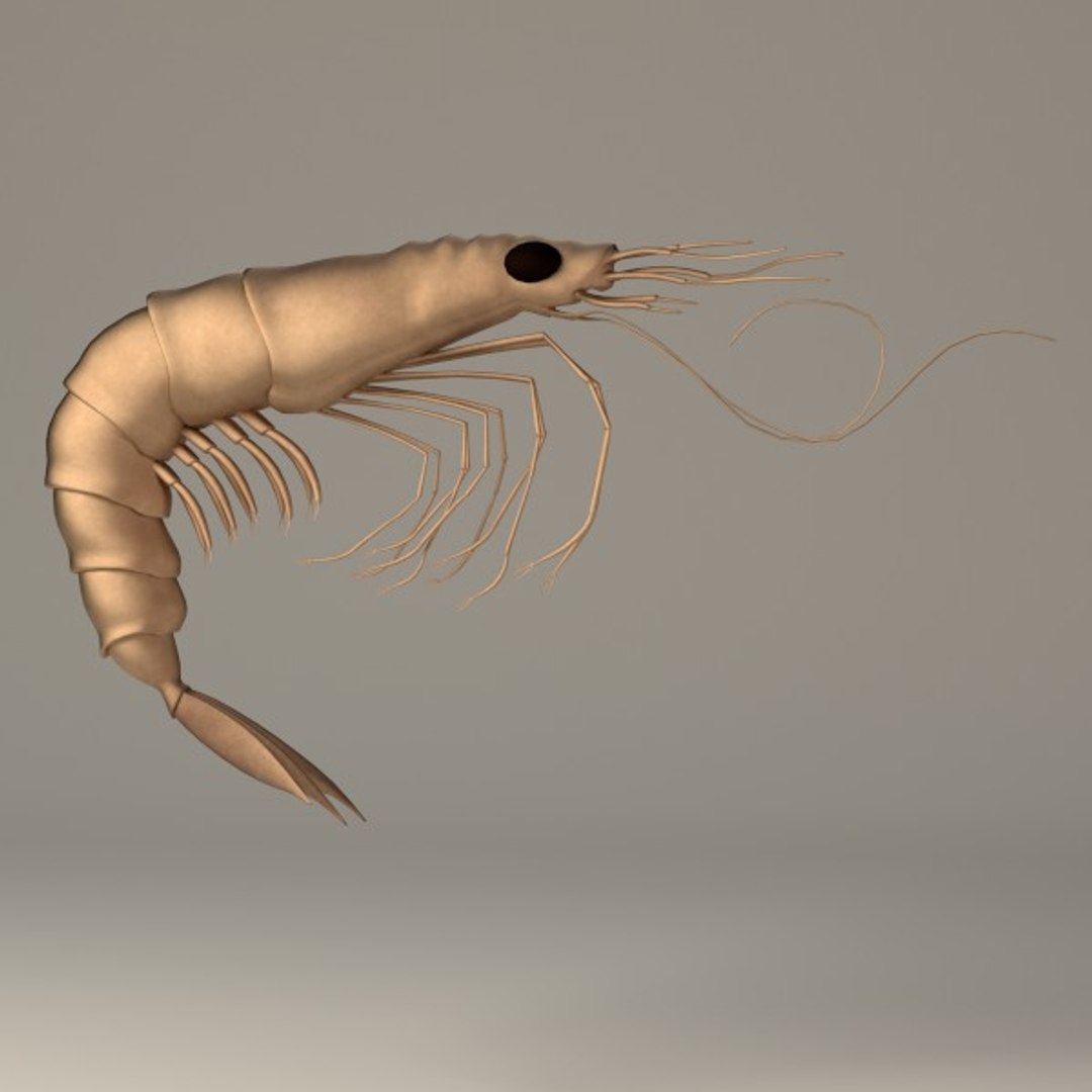 Deepwater Shrimp 3d 3ds