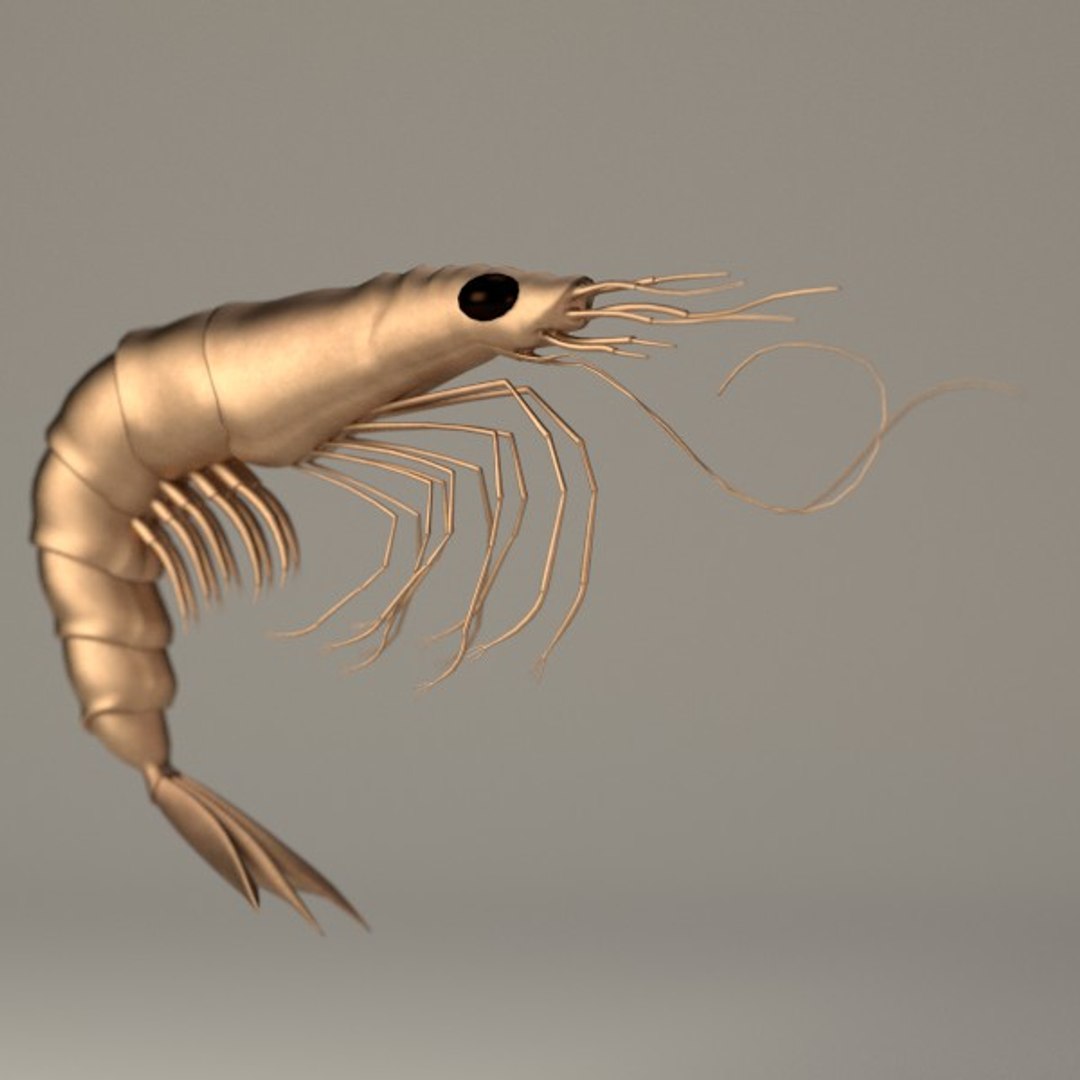 Deepwater Shrimp 3d 3ds