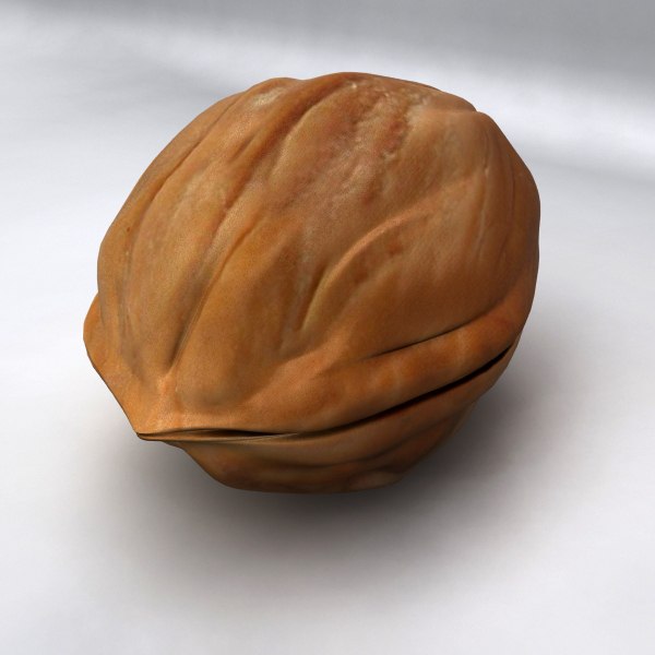 3d model walnut nut