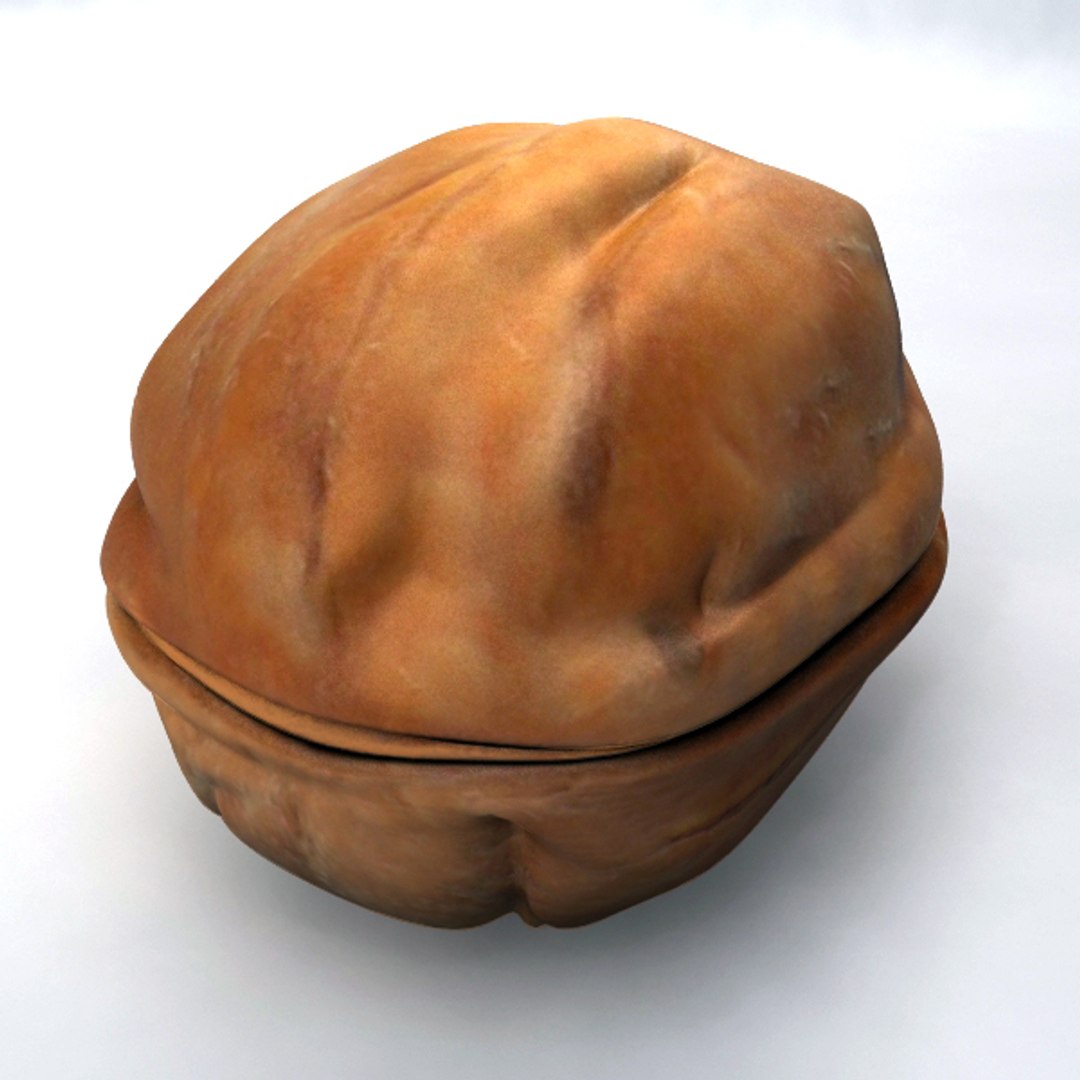 3d Model Walnut Nut