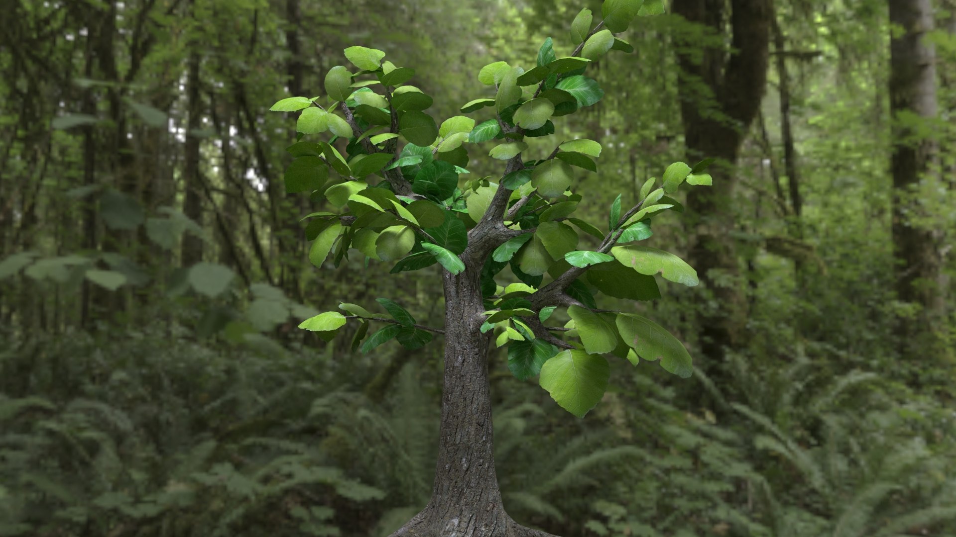 3D Sagwan Tree - TurboSquid 1603346