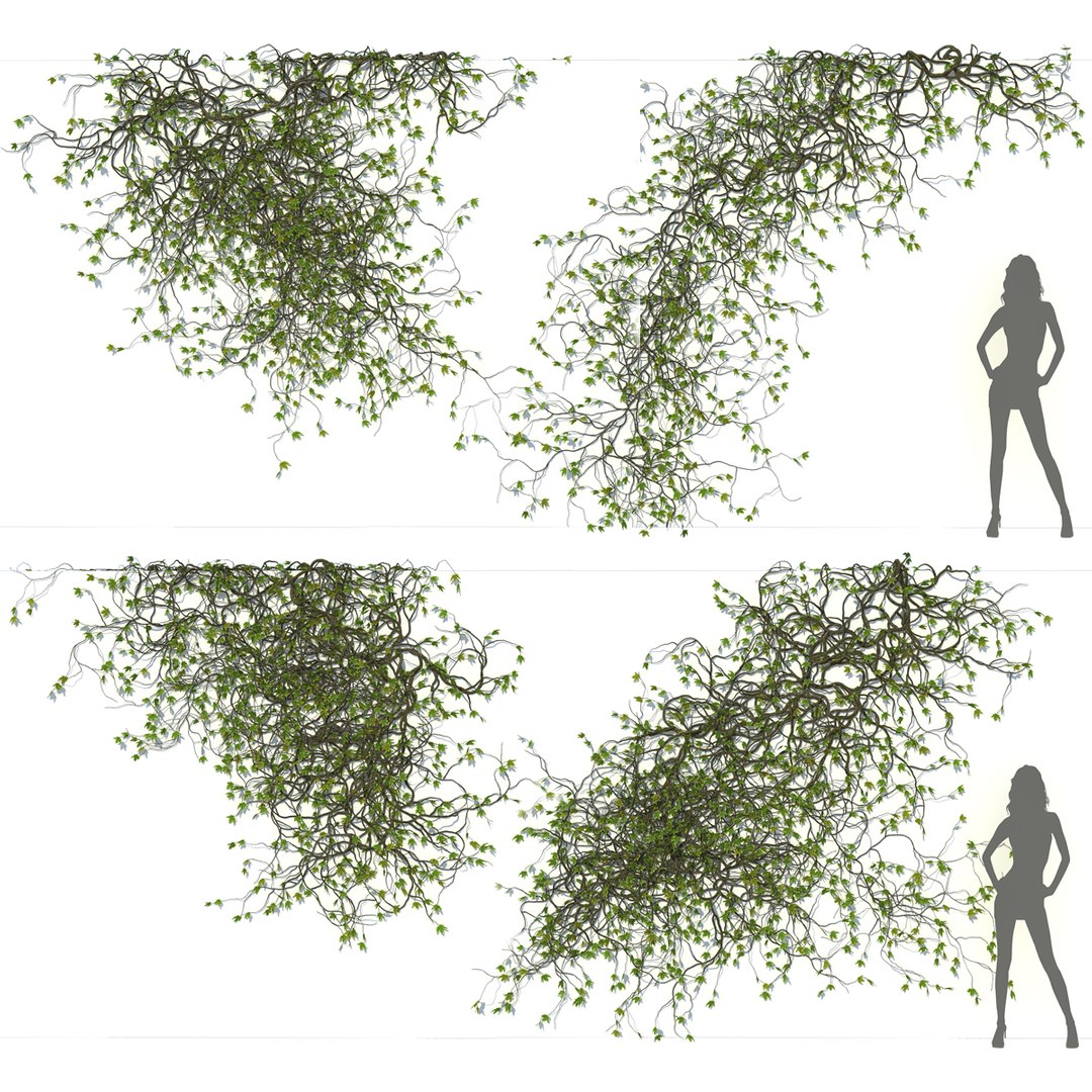 3D Ivy Wall 11 - TurboSquid 1891453