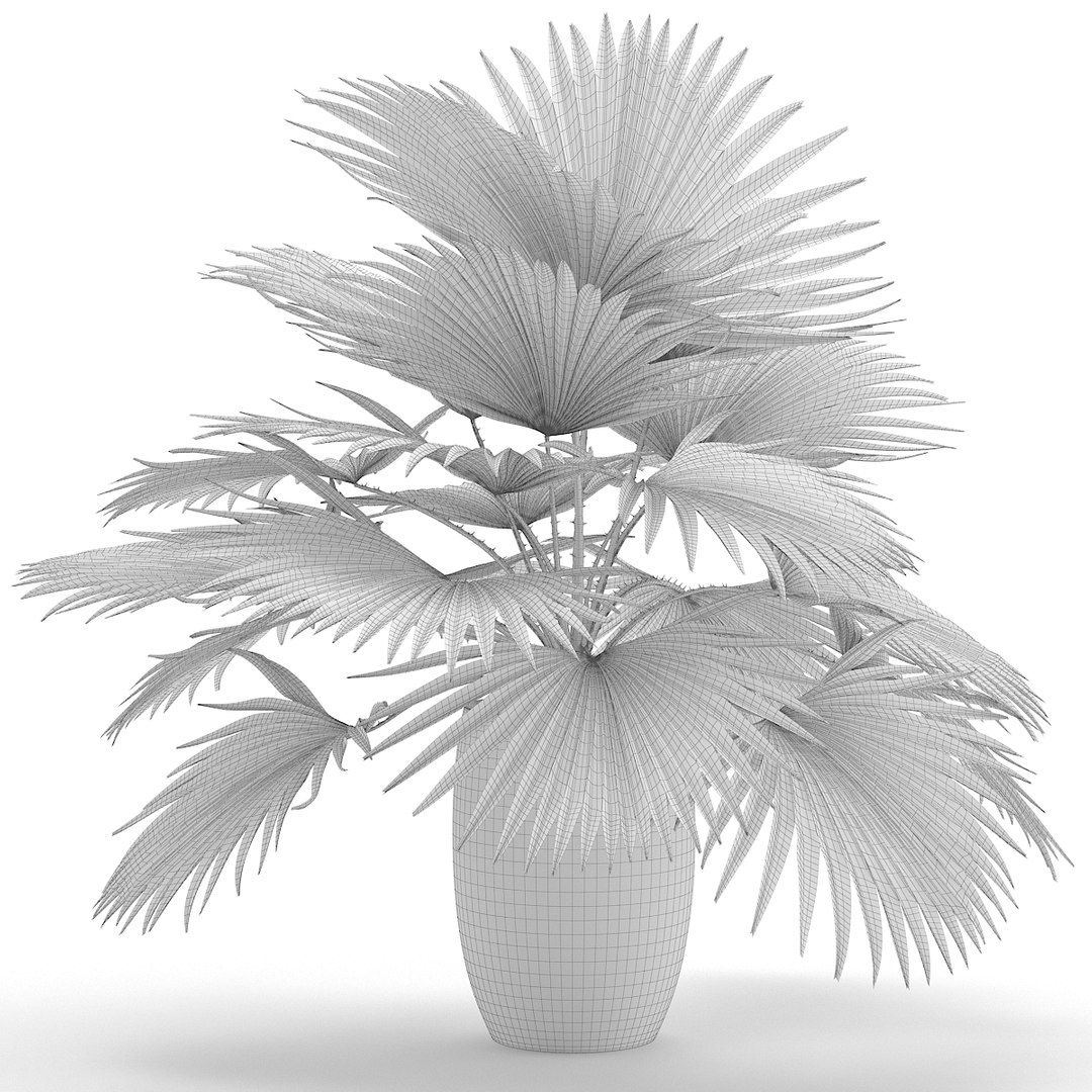 Palm 3d Obj