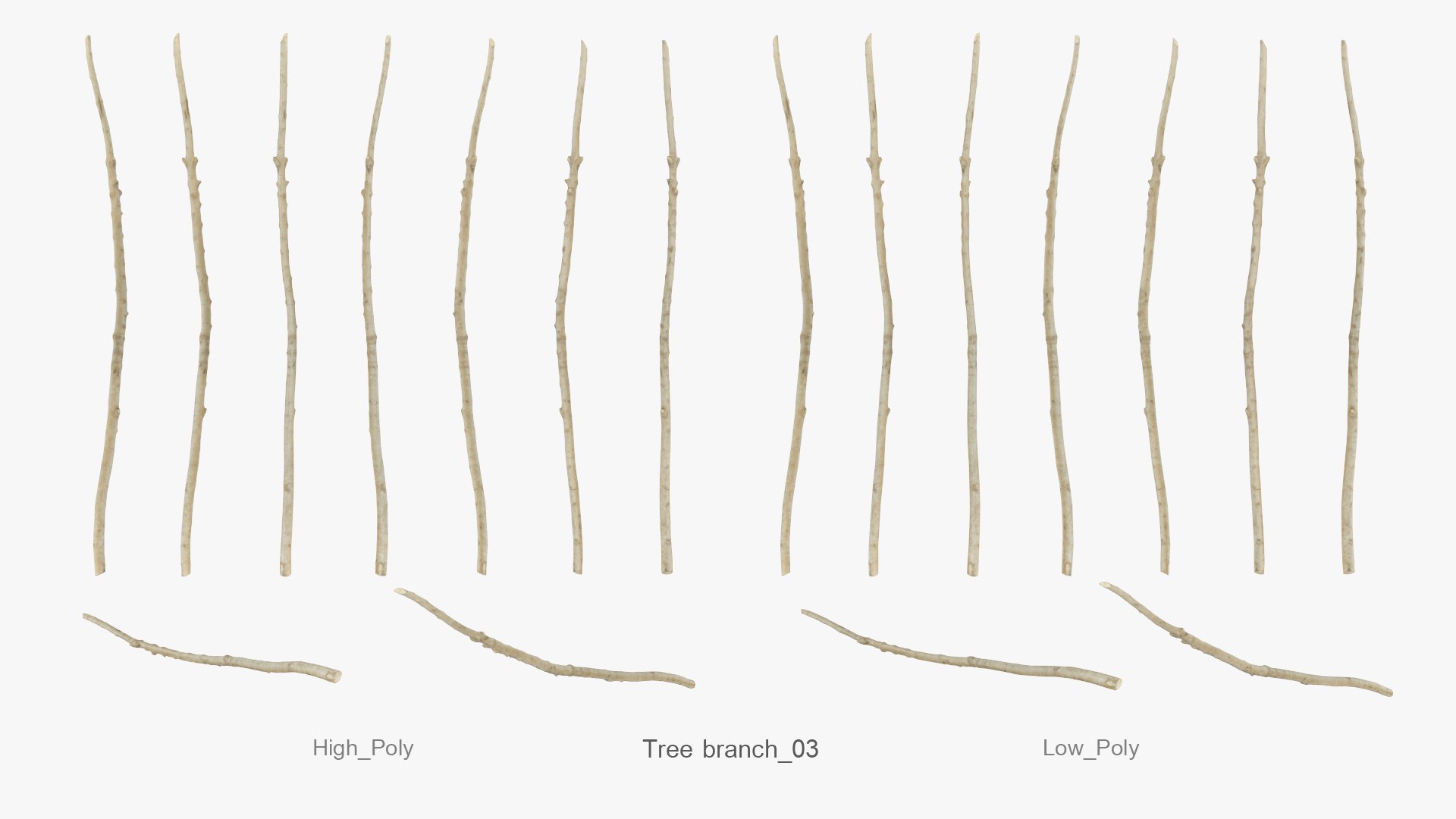3D PSscanned Tree Branchs Model - TurboSquid 2255291