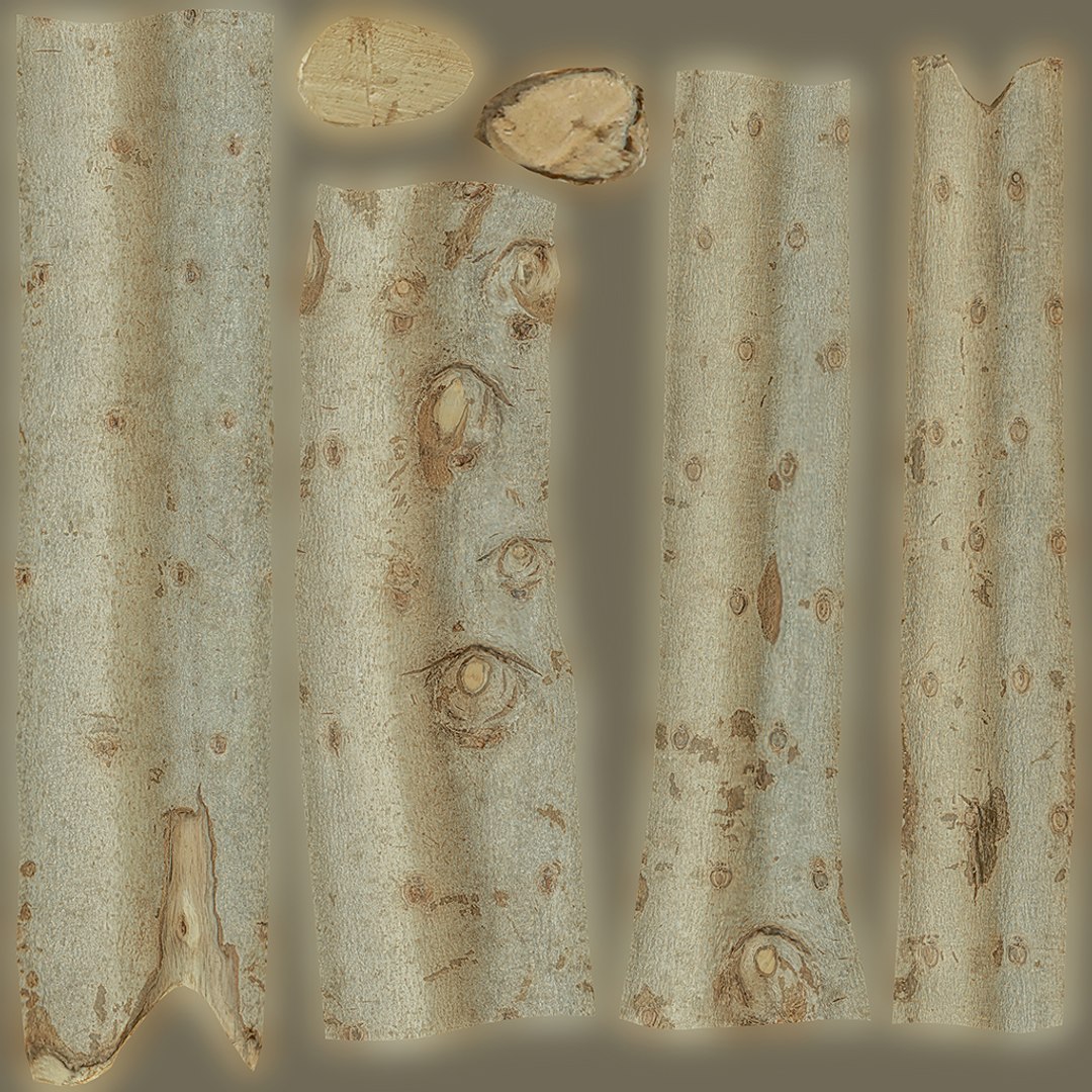 PSscanned Tree Branchs - TurboSquid 2255291