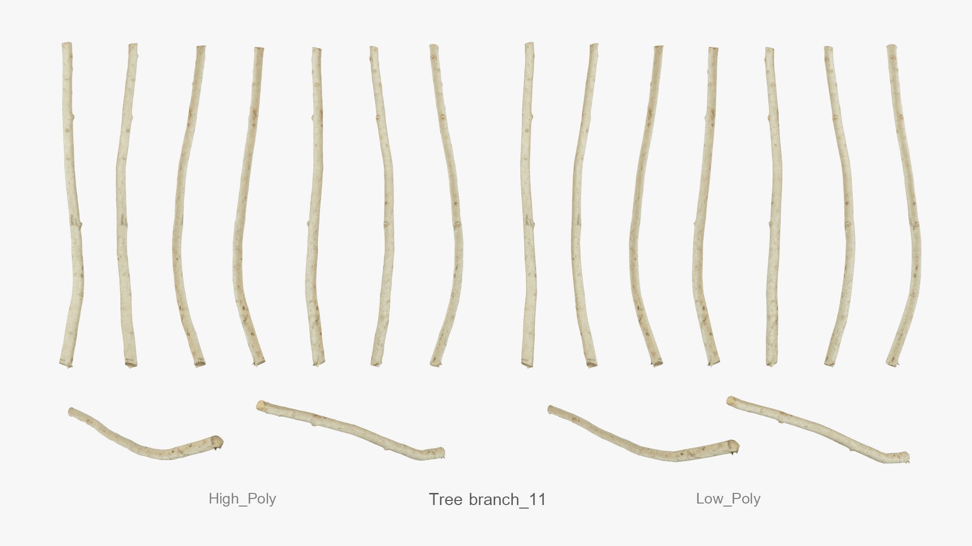 3D PSscanned Tree Branchs Model - TurboSquid 2255291
