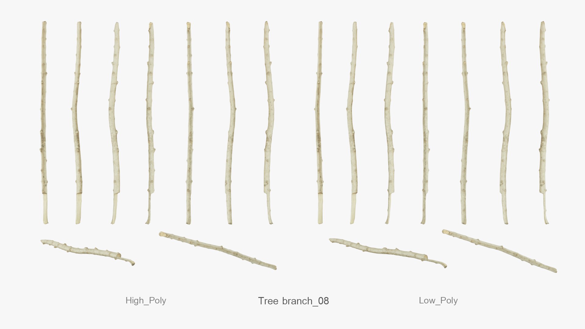 3D PSscanned Tree Branchs Model - TurboSquid 2255291