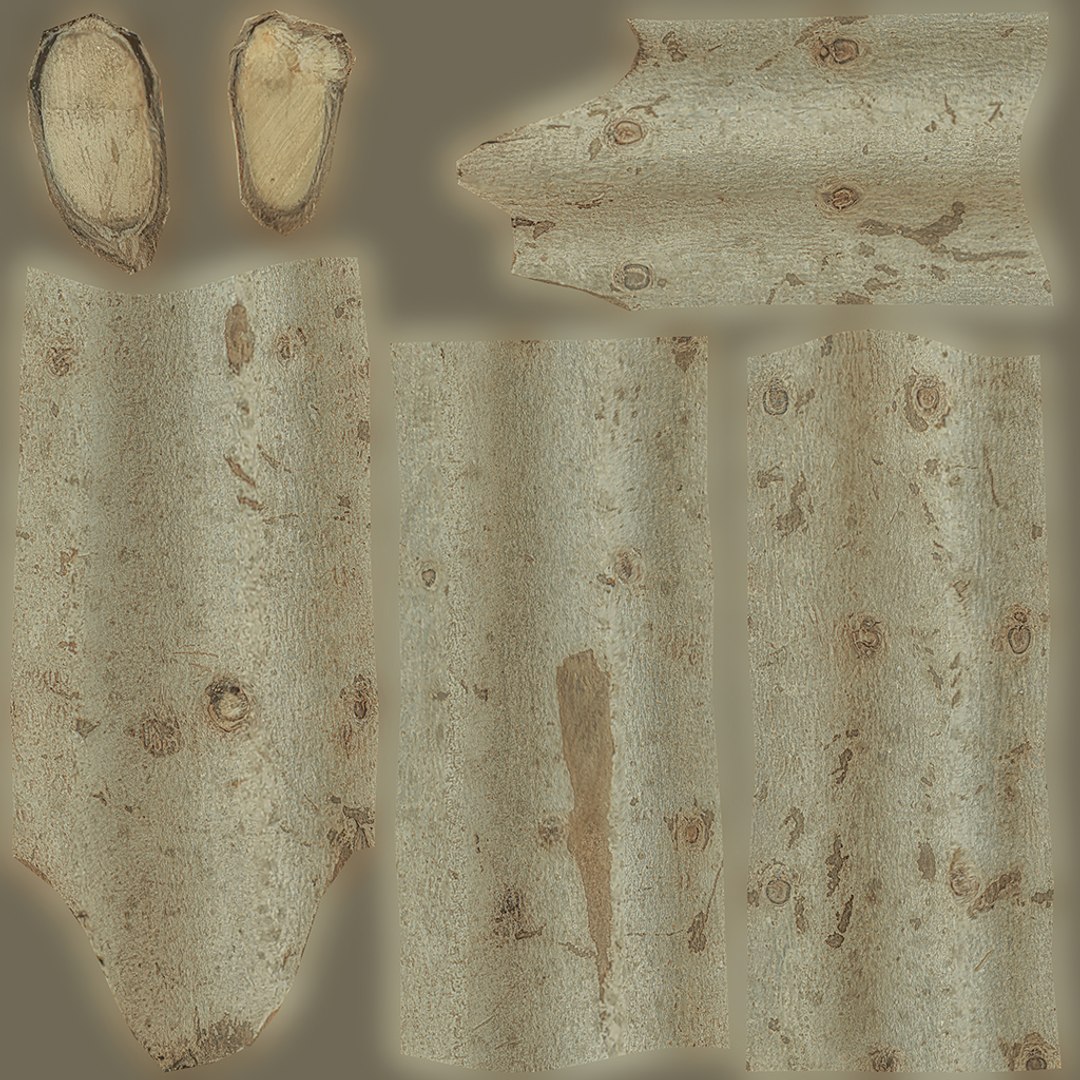 PSscanned Tree Branchs - TurboSquid 2255291