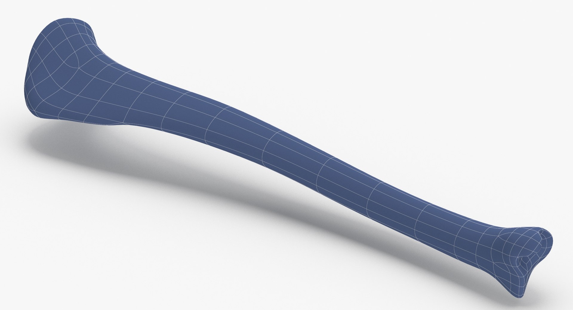 3D Model Domestic Dog Tibia Bone - TurboSquid 1577822