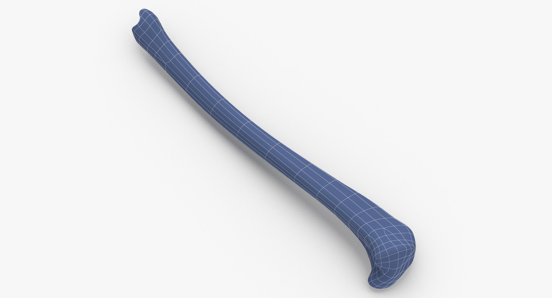 3D Model Domestic Dog Tibia Bone - TurboSquid 1577822